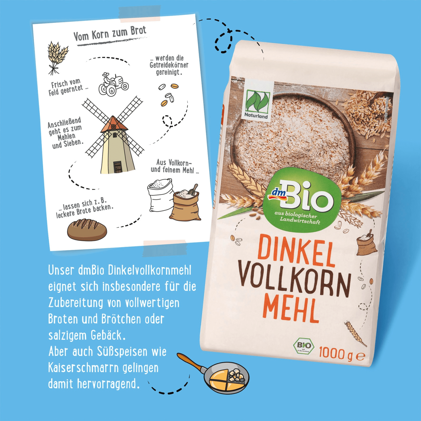 dmBio Speltmeel Volkoren 1000 g - Duitse Voordeel Drogist