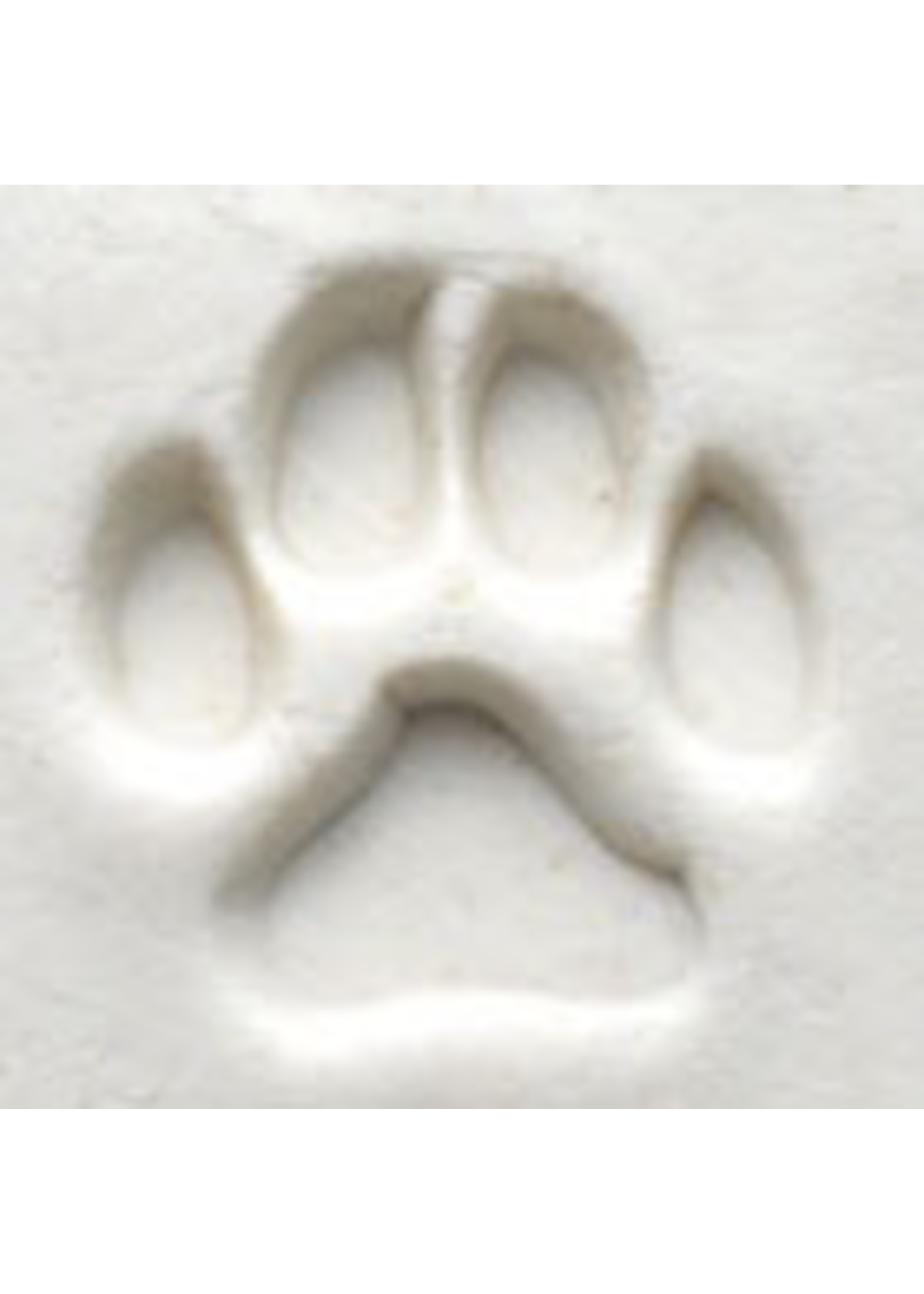 Dog Paw Stamp - 2.5cm - Bluematchbox Potters Supplies Ltd