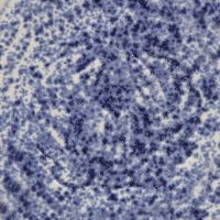 Blue Splatterware Mayco Stoneware Brush-on Glaze - 473ml - Bluematchbox ...