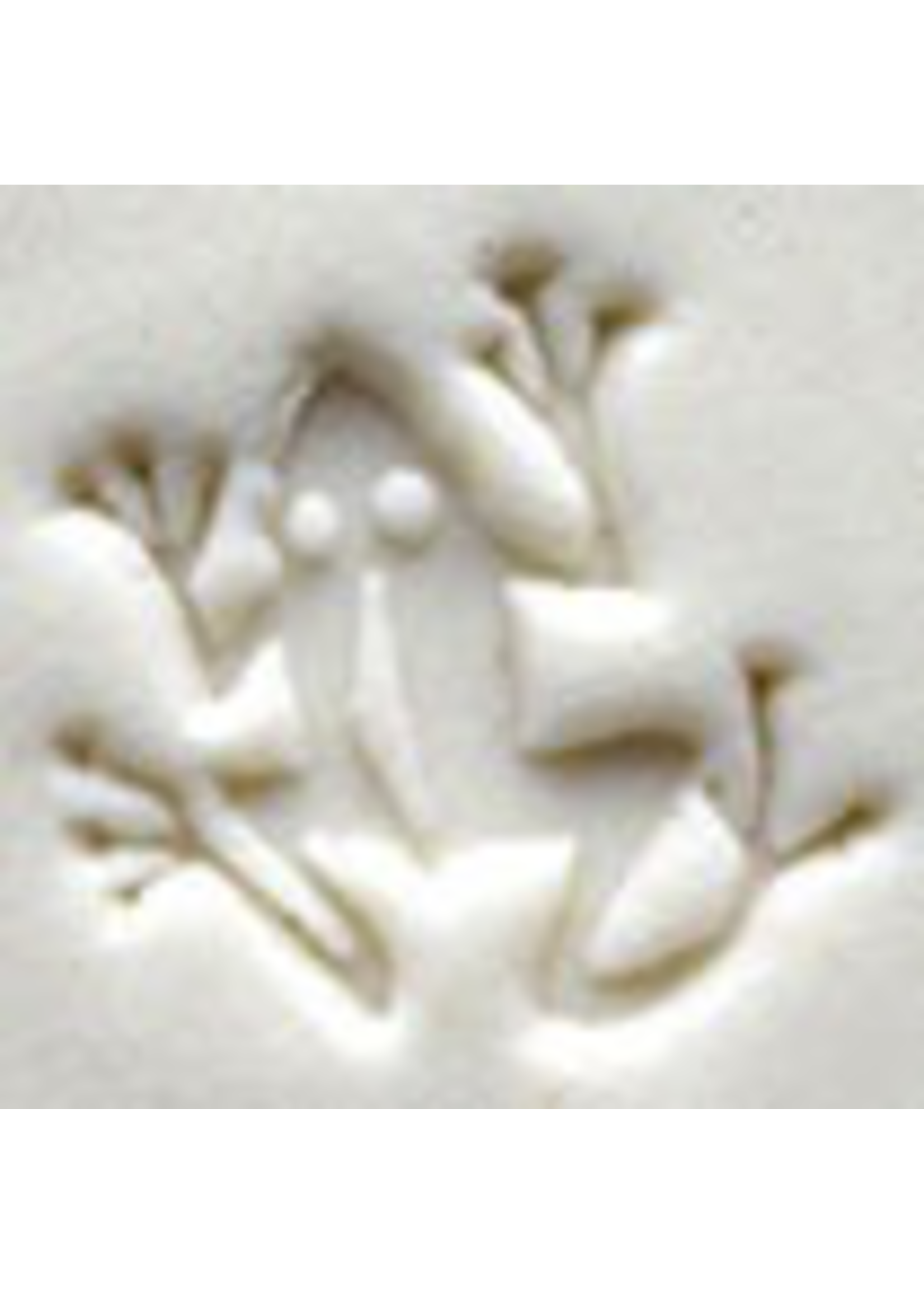 Frog Stamp - Bluematchbox Potters Supplies Ltd