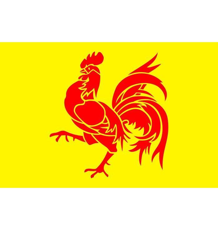 Belgian flags and other flags from Belgium