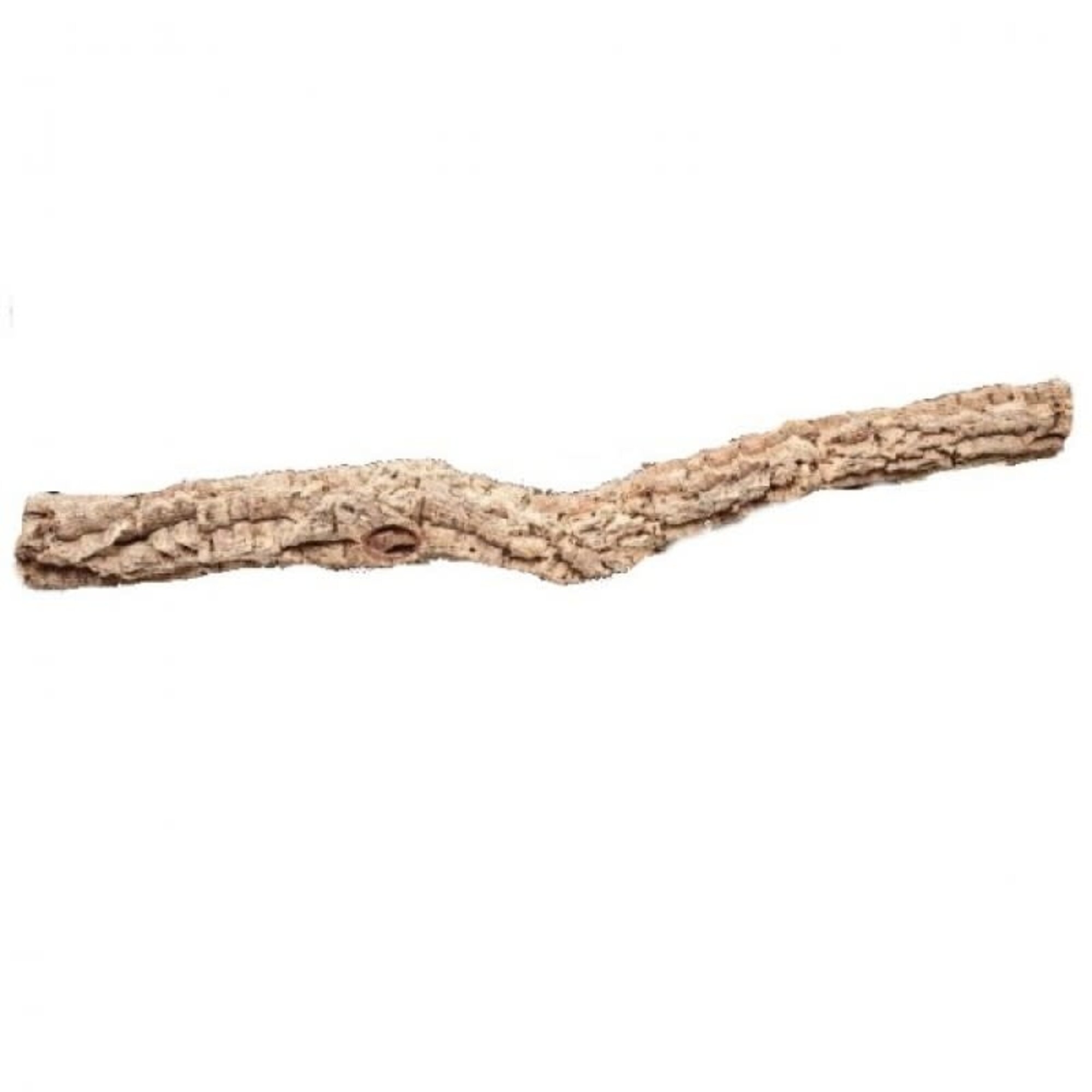 Kurk stam - boomstronk - 50 cm - D-tails