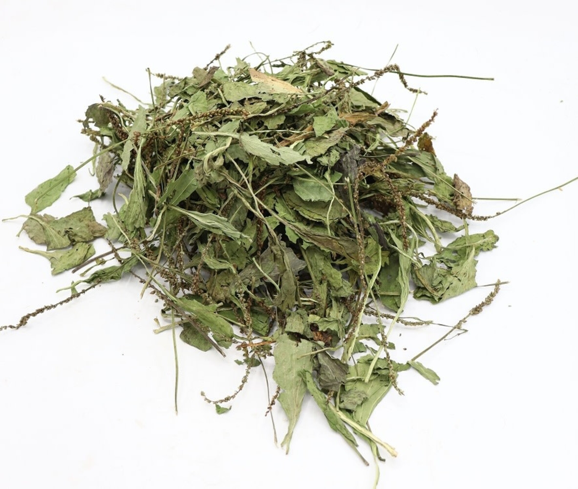 Herbimals Brede Weegbree - grof | D-tails - D-tails