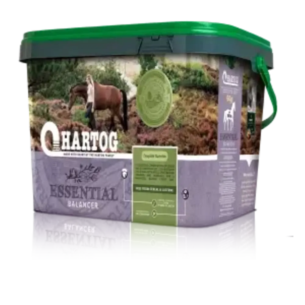 Hartog Essential - 3.5 kilo | D-tails - D-tails