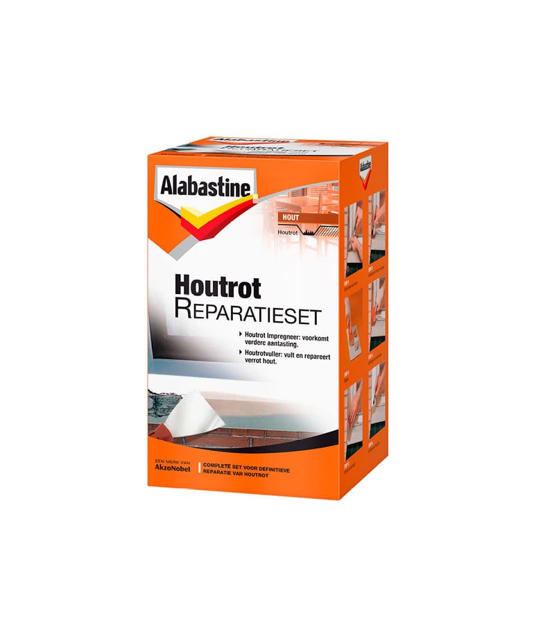 Alabastine Houtrot Reparatieset 500 gram, Nodig? Verf en Behangland ...