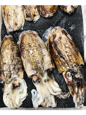 Buy Fresh Seafoods Online - Fish, Shrimp & more! - Chef's Play