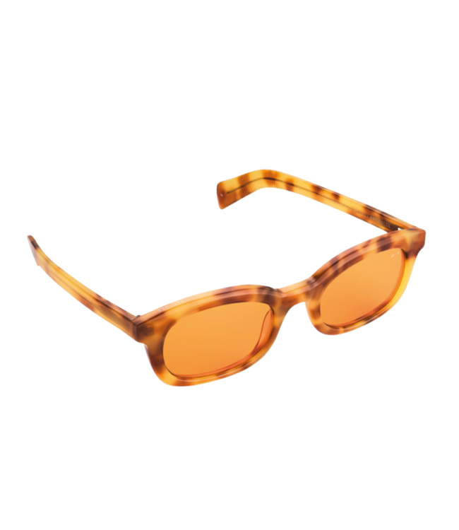 Ay Studios Vulture Havana Forever - Studio S Amsterdam