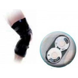 Ligaflex evolution rom - Ligamentaire kniebrace met flexie-extensie ...