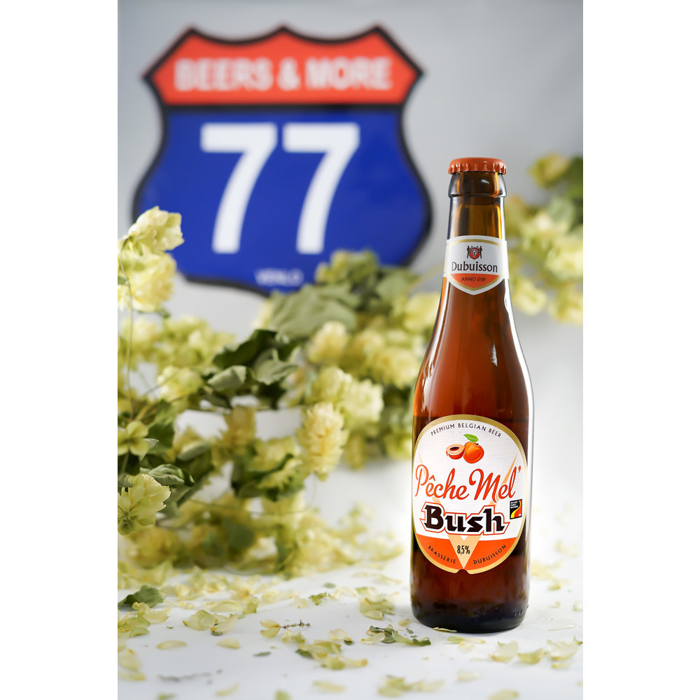 Dubuisson Bush Peche Mel Fruit Beer Fles 33 cl 8,50% - Beers&More77