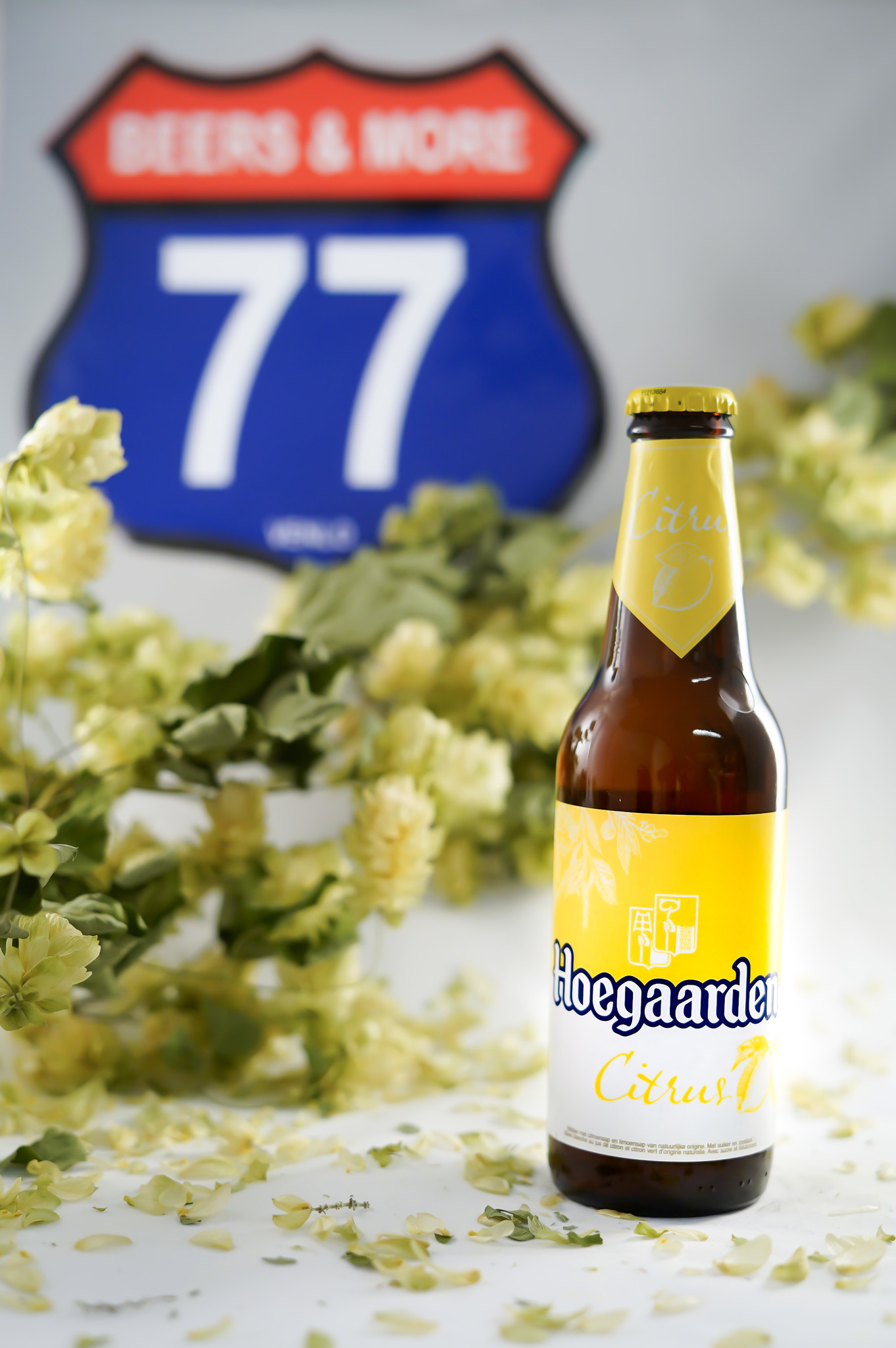 Hoegaarden Radler Lemon Fruit Beer Fles 33 cl 2,00% - Beers&More77
