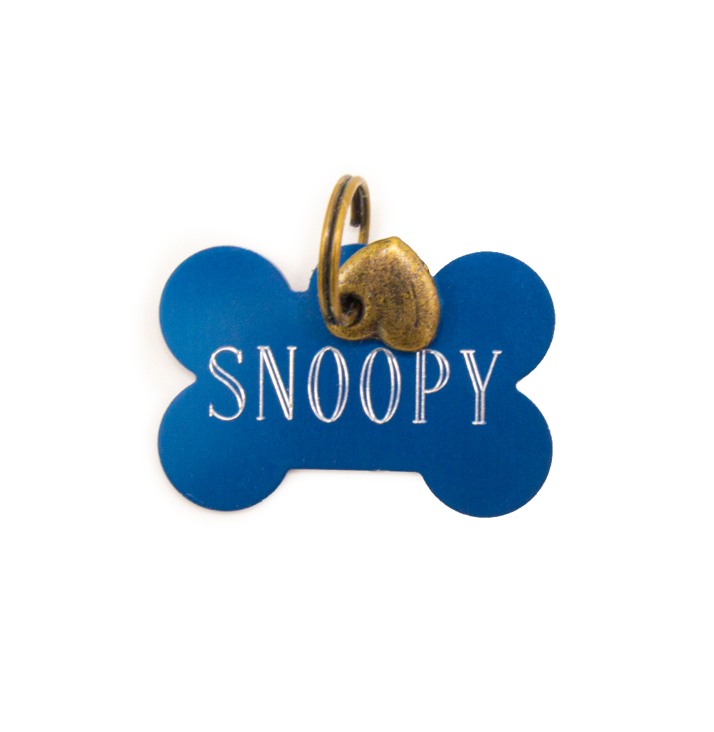 Name Tag Turquoise bone L - Dog with a Mission