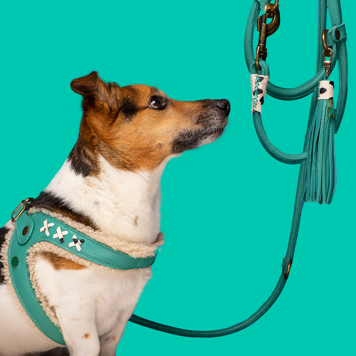 Dog with a Mission - Frenkie turquoise Dog Harness - Dog with a Mission