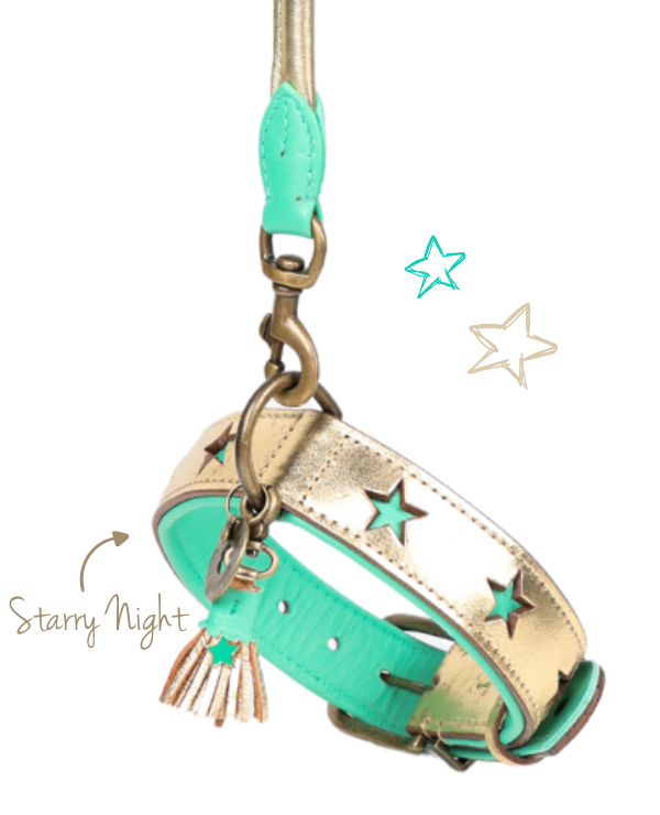 Luxury Dog Collars, Leashes & Harnesses | Dog with a Mission - Handmade ...