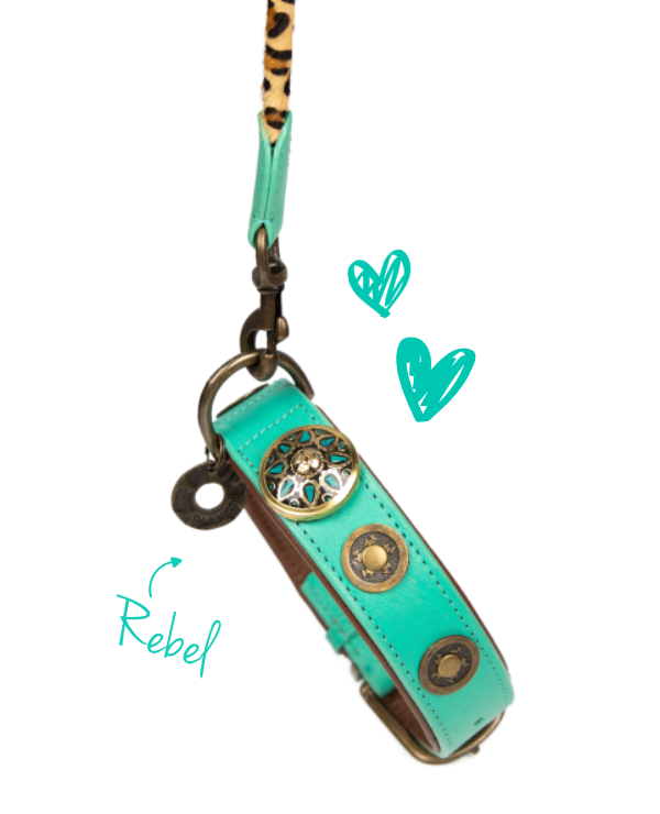 Luxury Dog Collars, Leashes & Harnesses | Dog with a Mission - Handmade ...