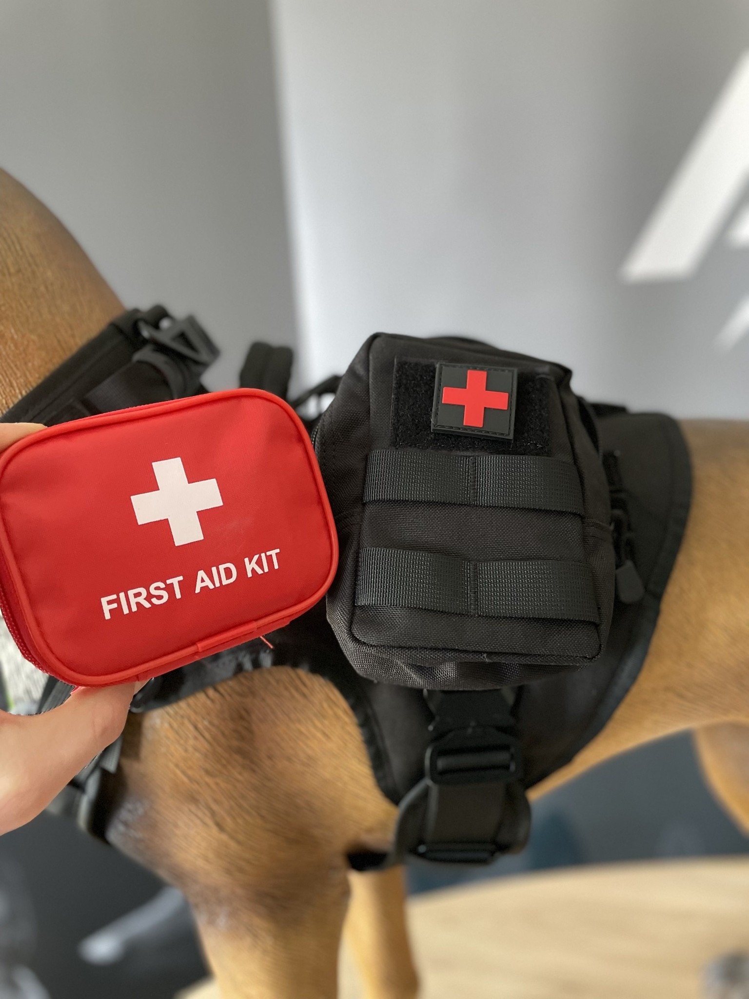First aid kit + pouch