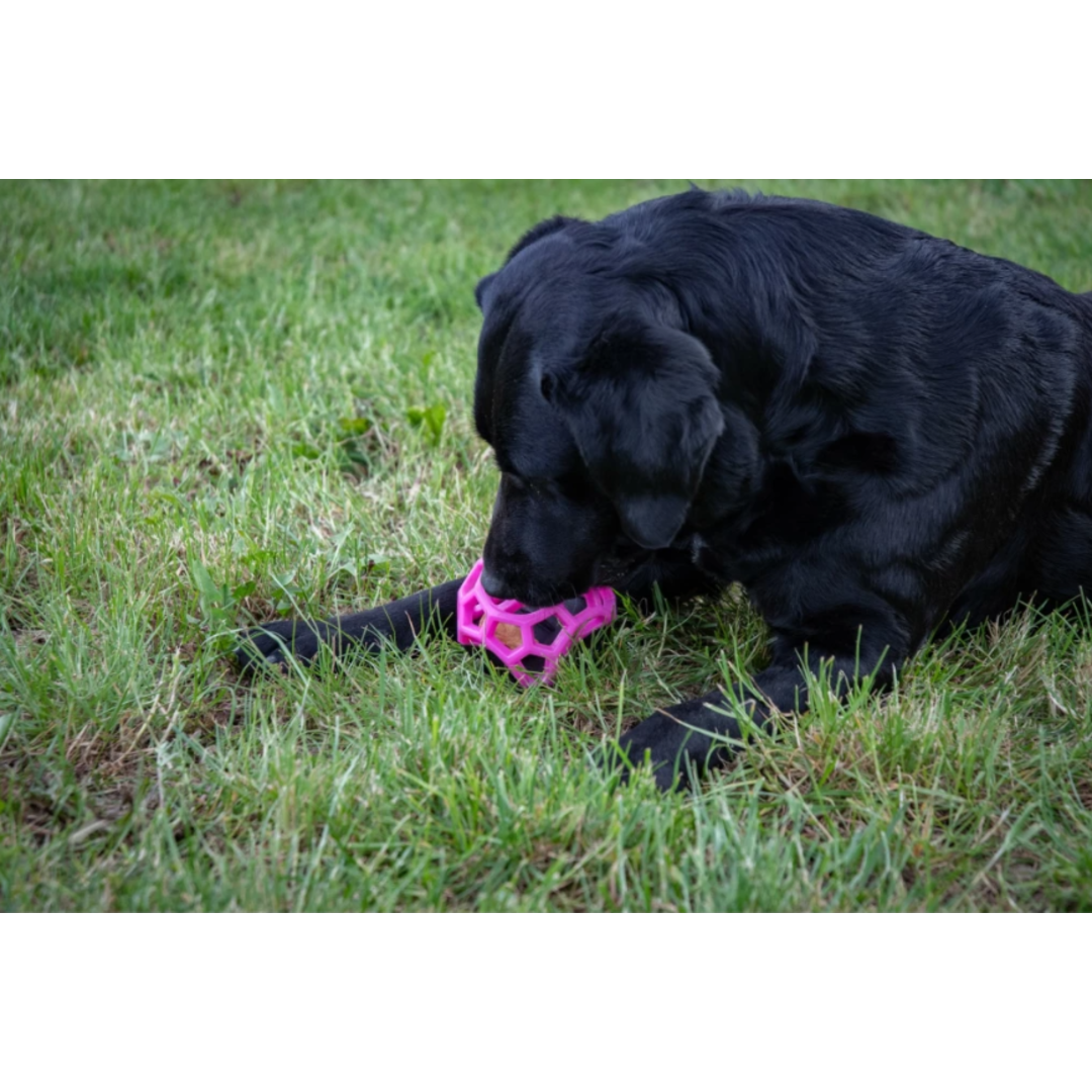 Meteor Snackkubus – Uitdagend Hondenspeelgoed voor Mentale Stimulatie ...