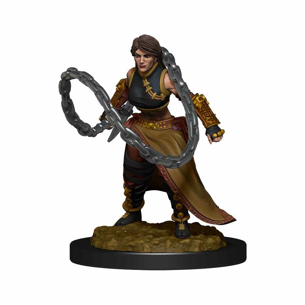 Dungeons and Dragons: Nolzur's Marvelous Minatures - Human Monk Female ...