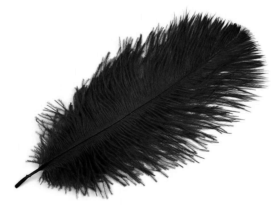 Black feather, 20-25 cm - CelticWebMerchant.com