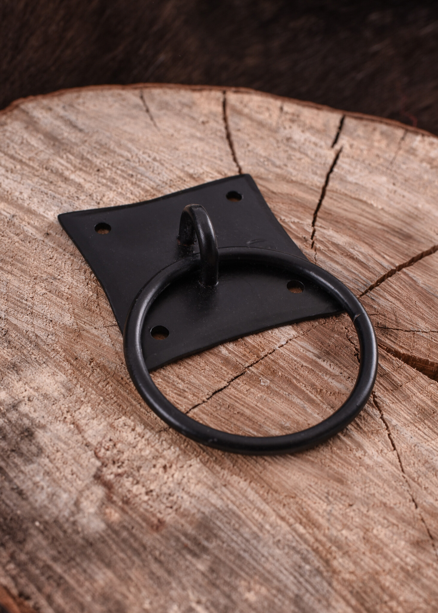 Historisch handvat met ring - CelticWebMerchant.com