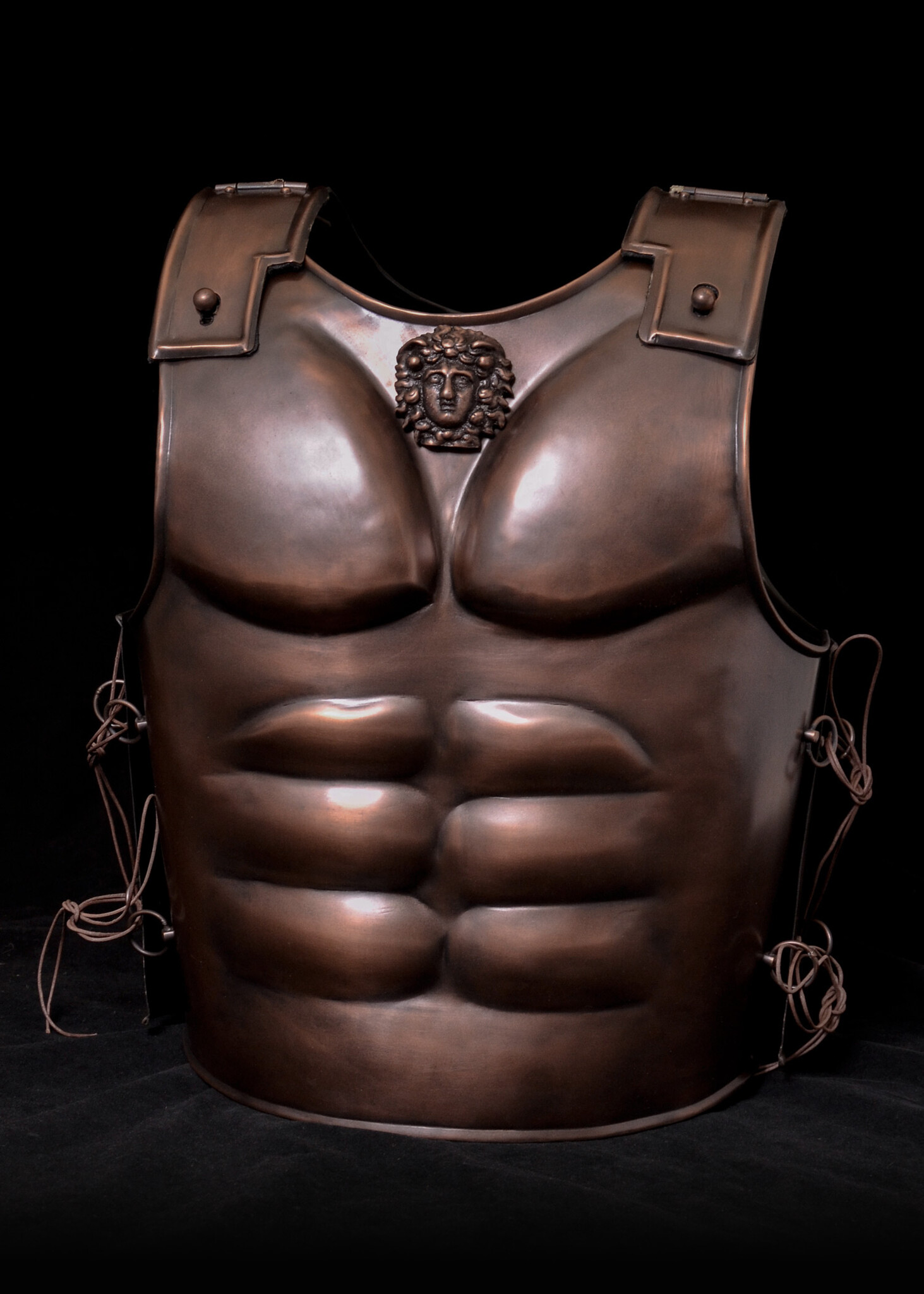 Spartan musculata - CelticWebMerchant.com