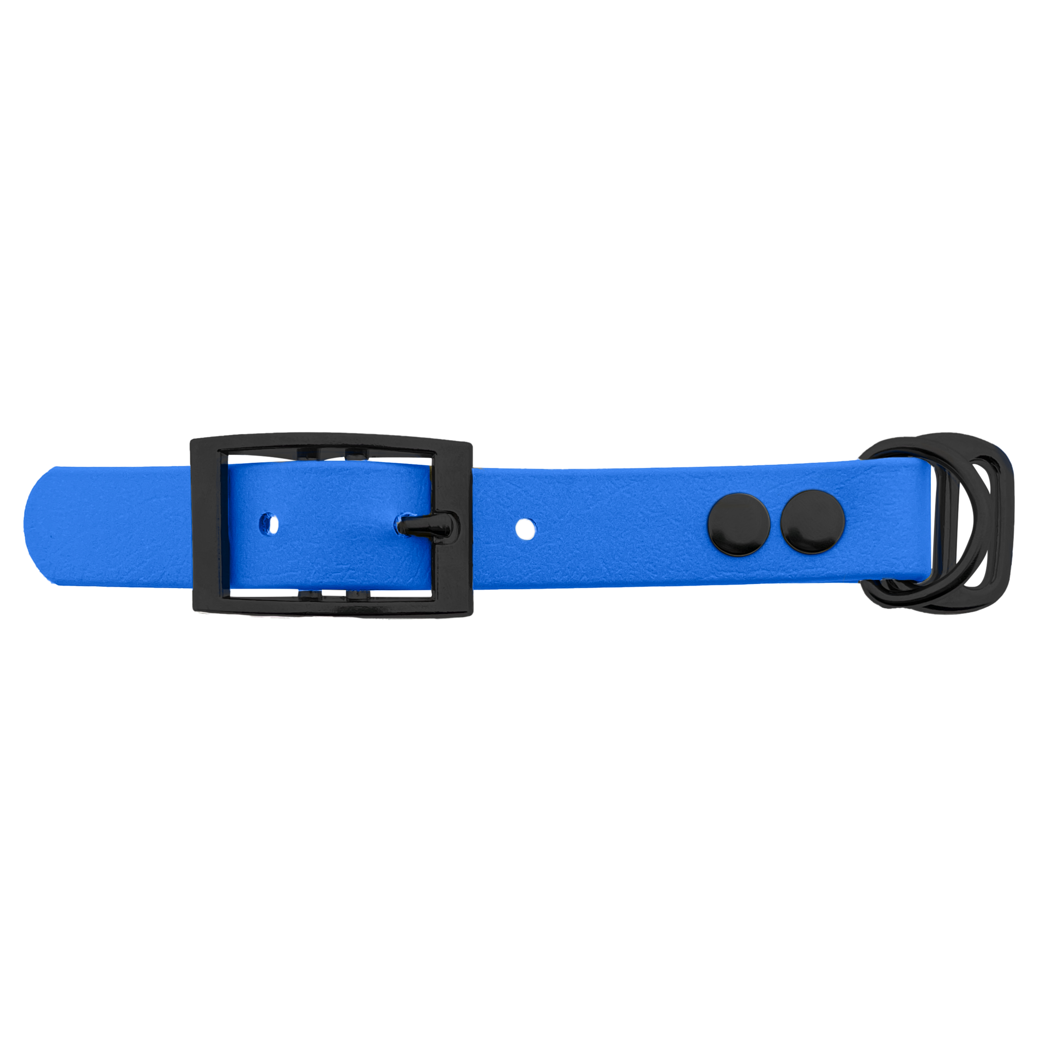 Buy Biothane adapter 19MM Light Blue/Black from the expert - 123Paracord