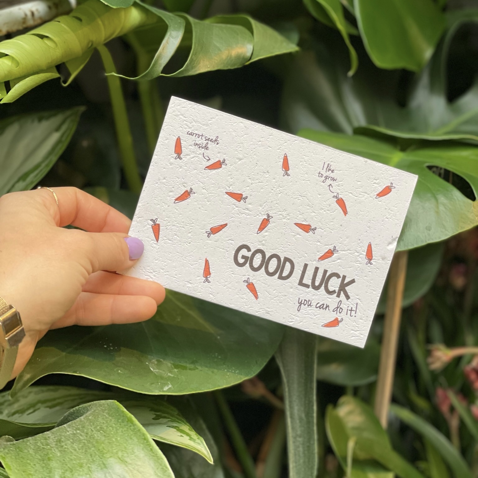 Postcards - Vegetable/Herbs Good Luck - Carrot - Groene Vingers Delft