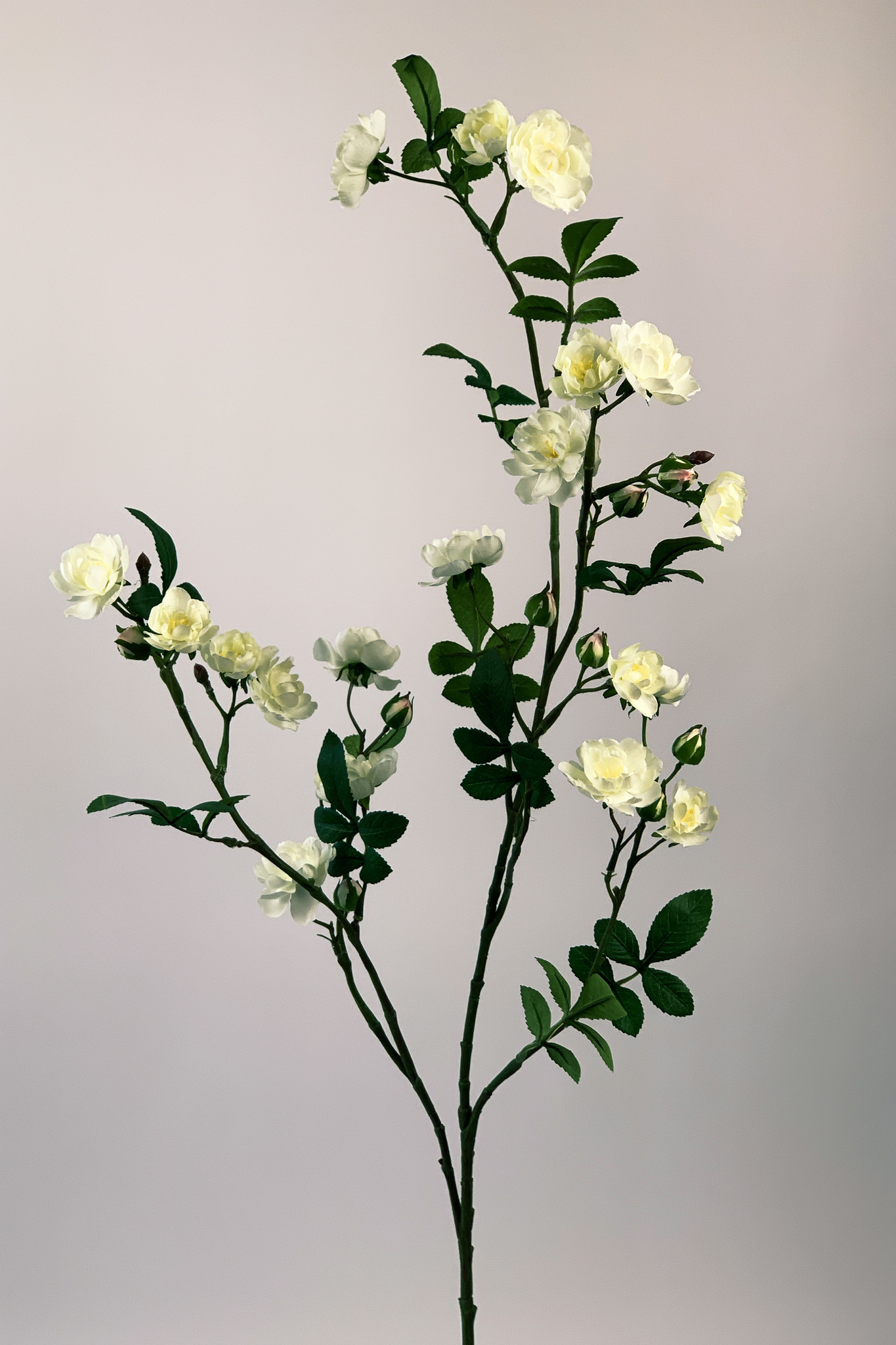 TROSROOS THE WHITE FAIRY | WIT | 110 CM | KUNST ROOS VAN JIM JON - Jim Jon
