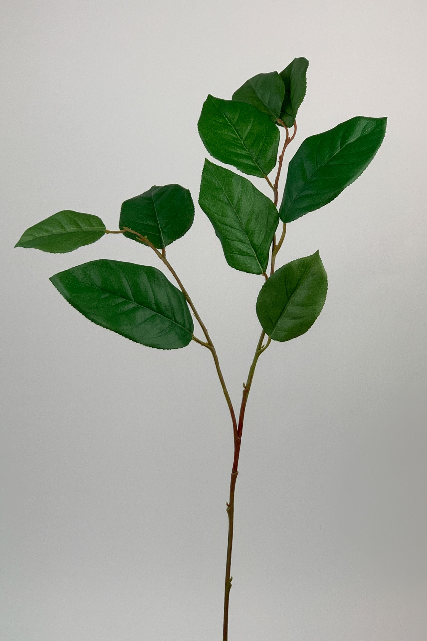 APPELBLAD | GROEN | 75 CM | BLOEMENWINKEL NEP BLOEMEN - Jim Jon