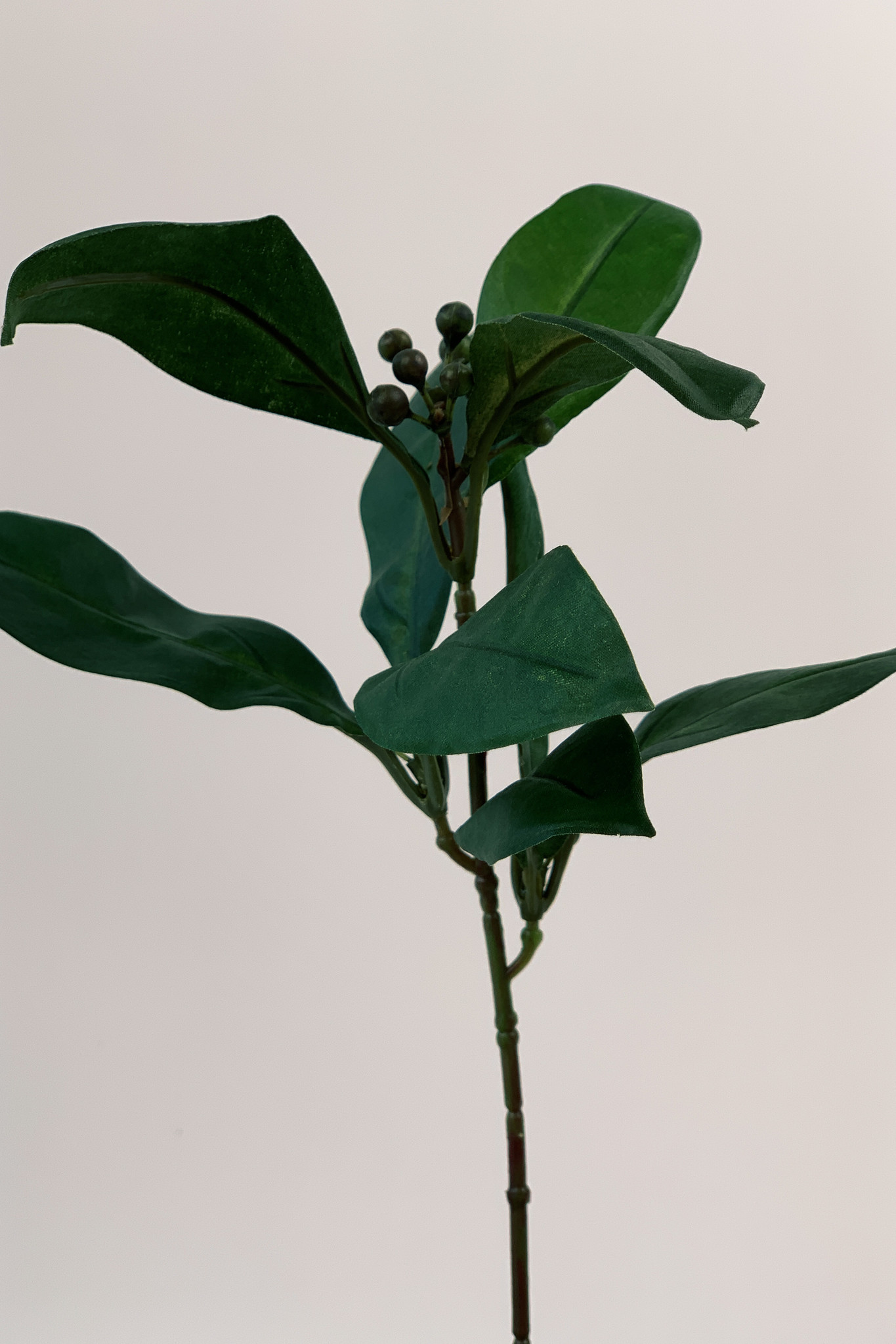 LAURIERBLAD | GROEN | 25 CM | JIM JON PURE AND PERMANENT FLOWERS - Jim Jon