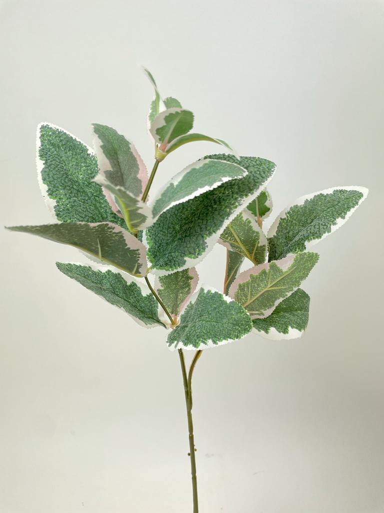 SALIE| GROEN WIT| 55 CM | JIM JON PURE AND PERMANENT FLOWERS - Jim Jon