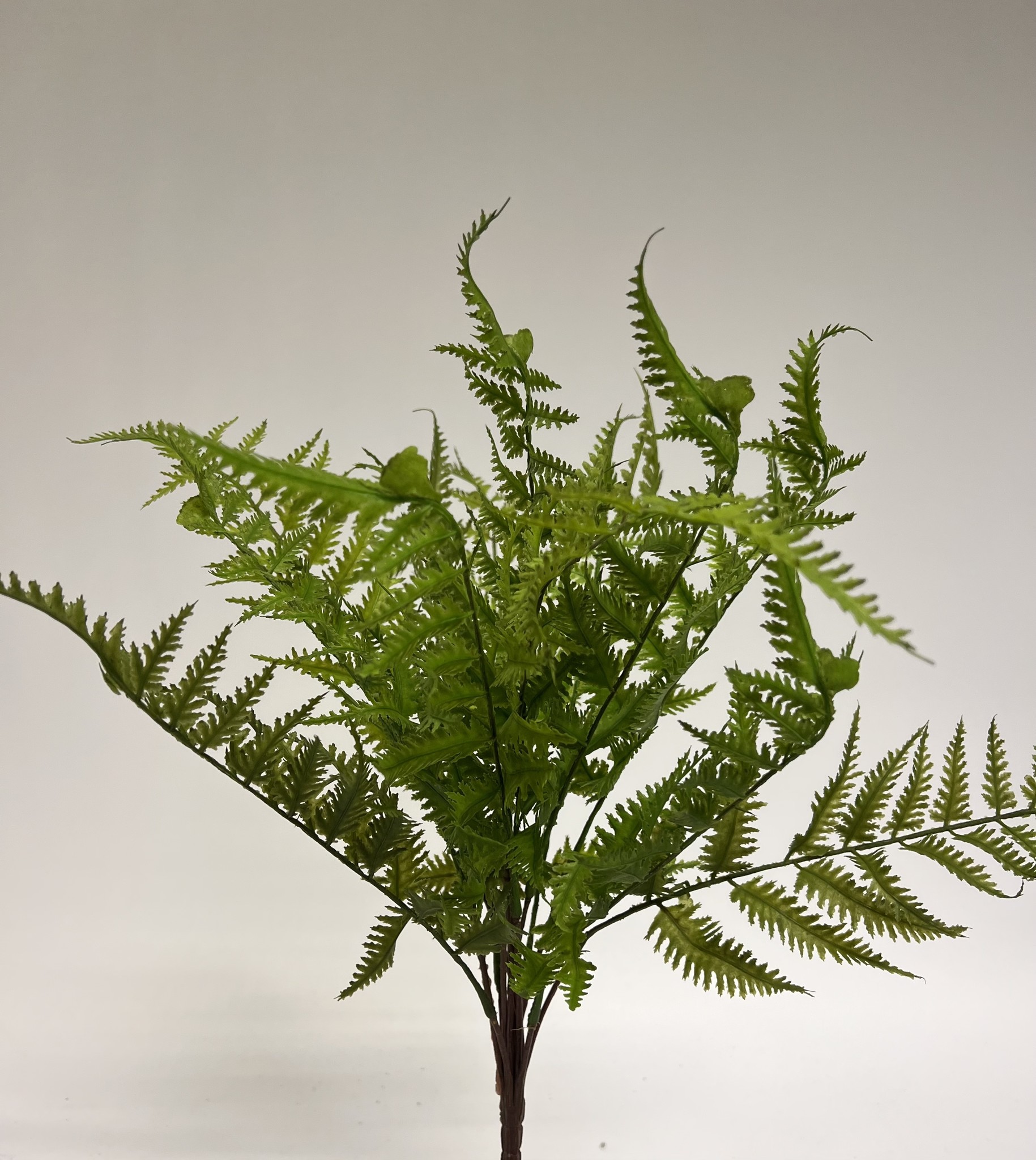 VAREN BOSJE | GROEN | 42 CM - Jim Jon