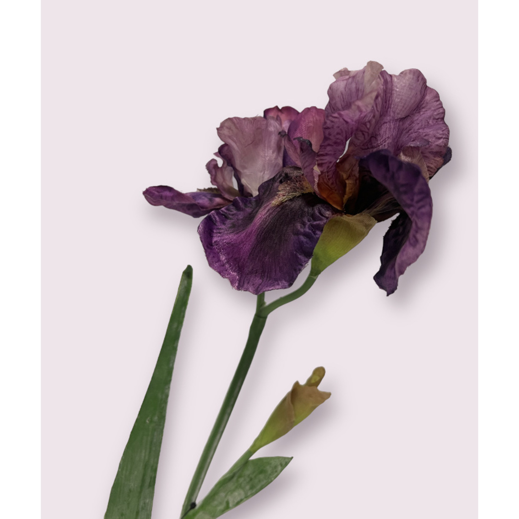 BAARD IRIS PURPLELICIOUS | PAARS | 70 CM | GROOTHANDEL IN KUNSTBLOEMEN ...