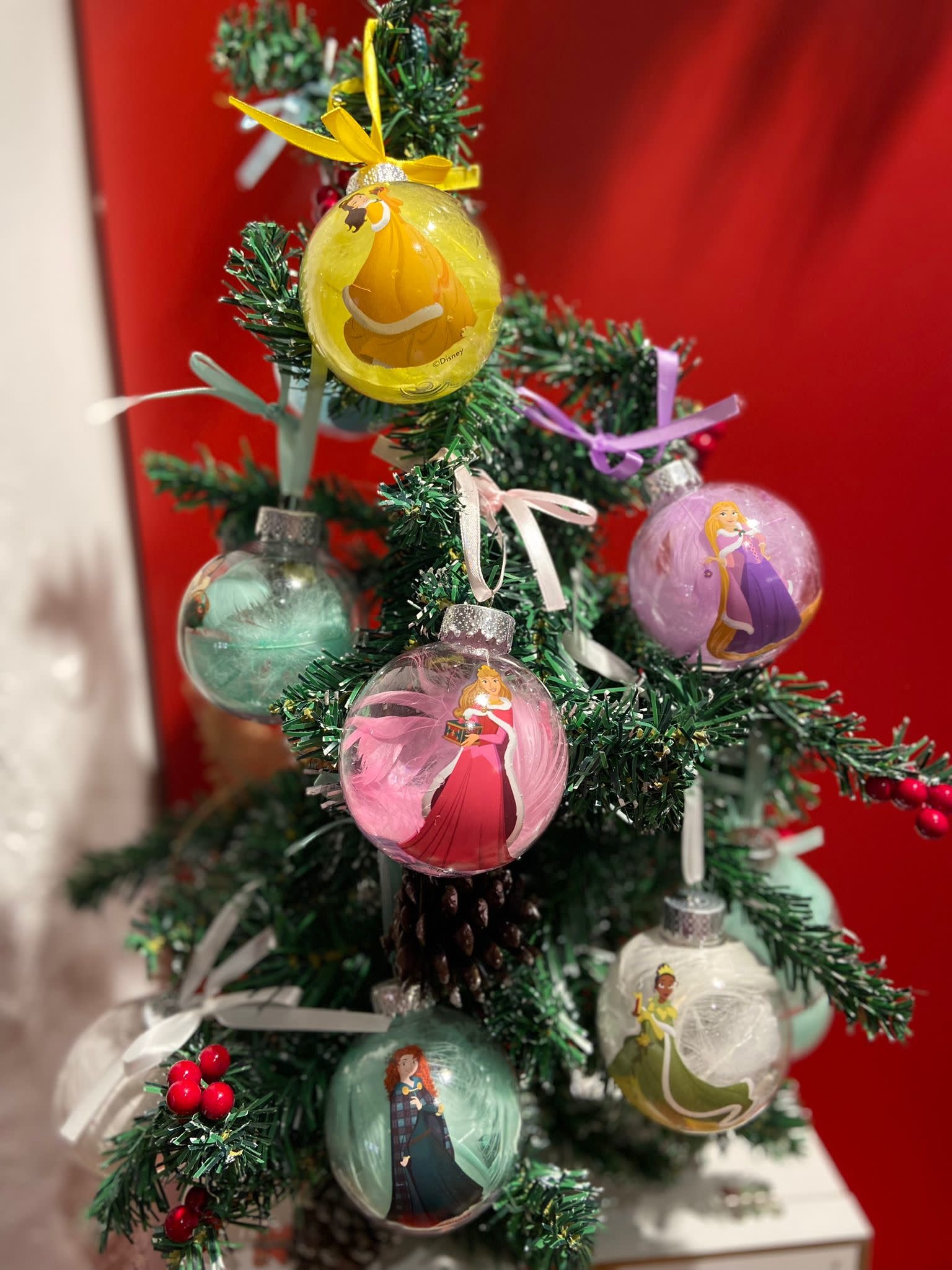 Kerstballet set: Disney Princess - Feather Filled - Magical Gifts