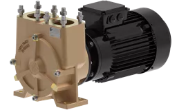 Forani & Pecorari TS50 Self-Priming Motor Pump Unit - AAM Supplies