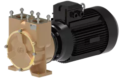 Forani & Pecorari TS65 Self-Priming Motor Pump Unit - AAM Supplies