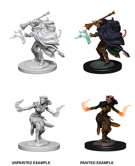 Wizkids - Nolzur's Marvelous Miniatures: Tiefling Warlock ...
