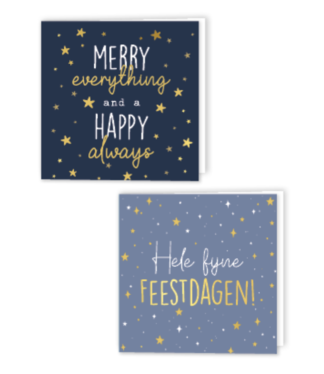Luxe kerstkaarten | Fijne feestdagen en Merry everything | 10 stuks - Feestdeco