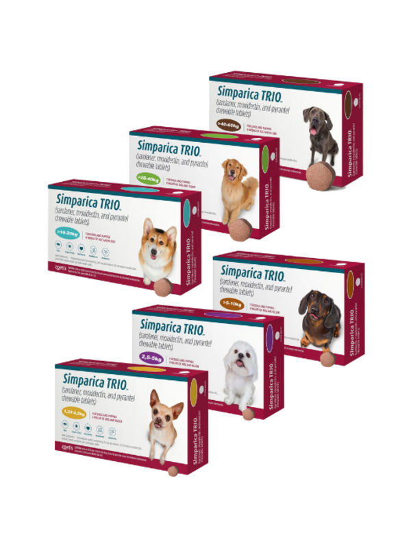 Vlooien en teken bij honden | Diermedicatie.nl - Diermedicatie.nl