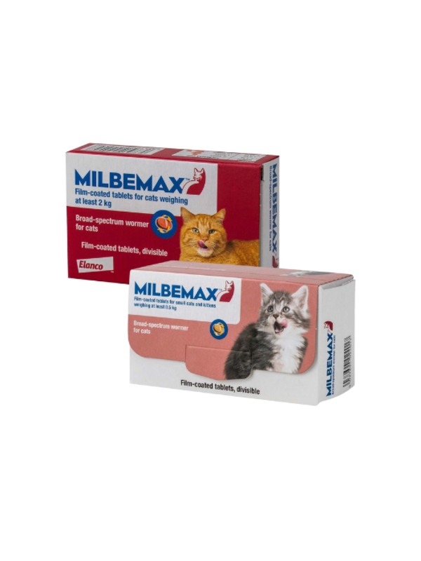 Bravecto Kat | Spot-on tegen vlooien, teken,mijten | Diermedicatie.nl ...