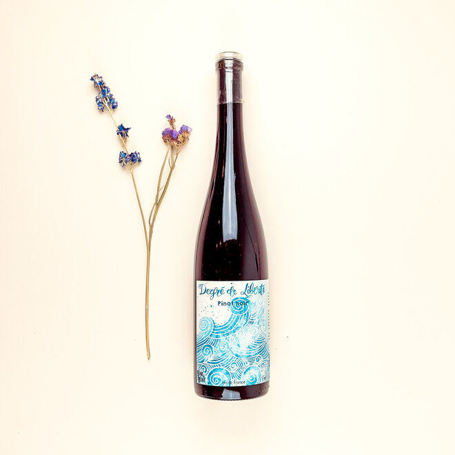 Sons of Wine - A Taste Affair - Natuurwijn Gent