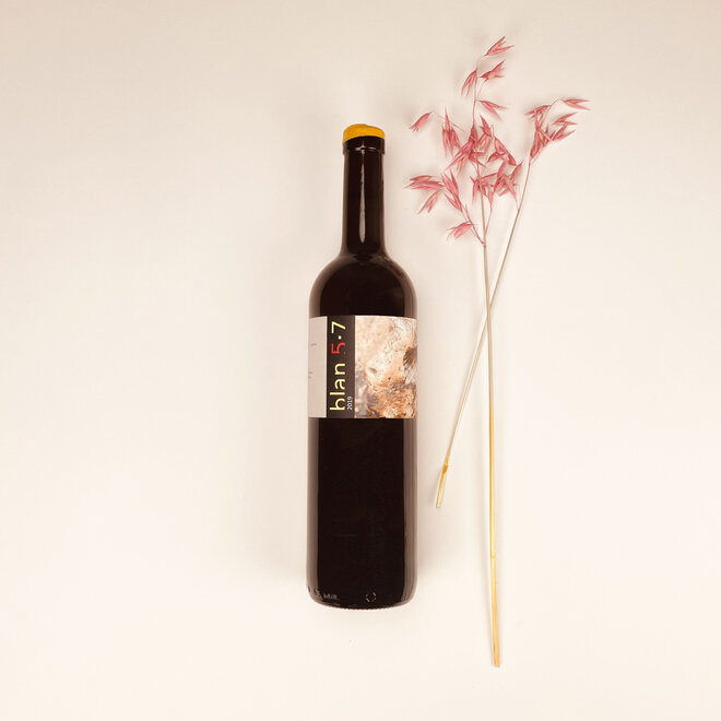 Jordi Llorens - A Taste Affair - Natuurwijn Gent