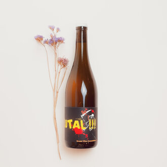 Vega Aixalà - A Taste Affair - Natuurwijn Gent