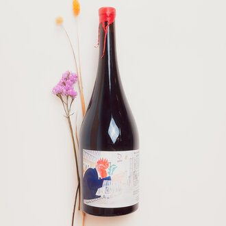 Sons of Wine - A Taste Affair - Natuurwijn Gent