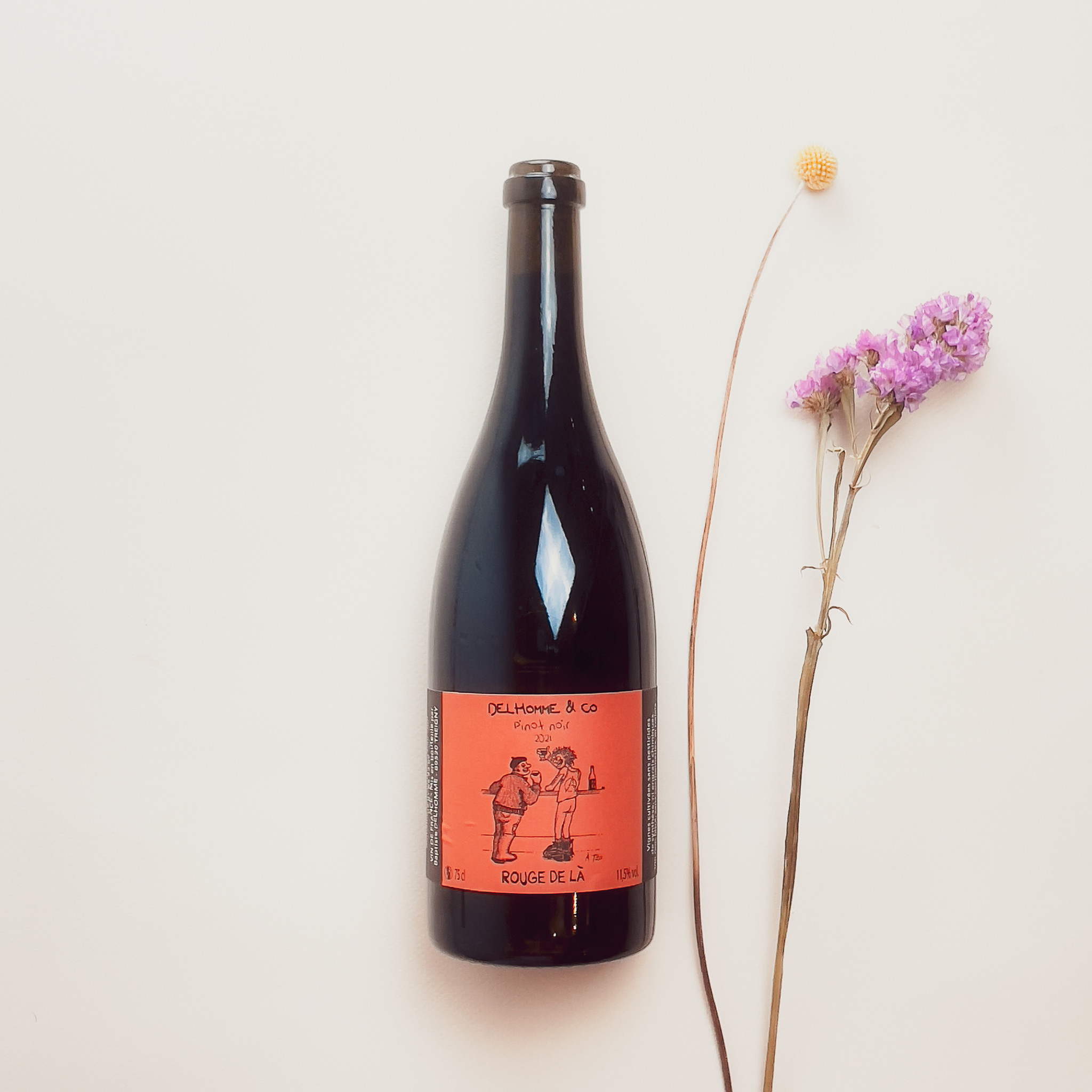 Domaine Delhomme - Rouge de là - 2021 - A Taste Affair - Natuurwijn Gent