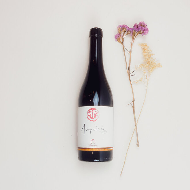 Promo - A Taste Affair - Natuurwijn Gent