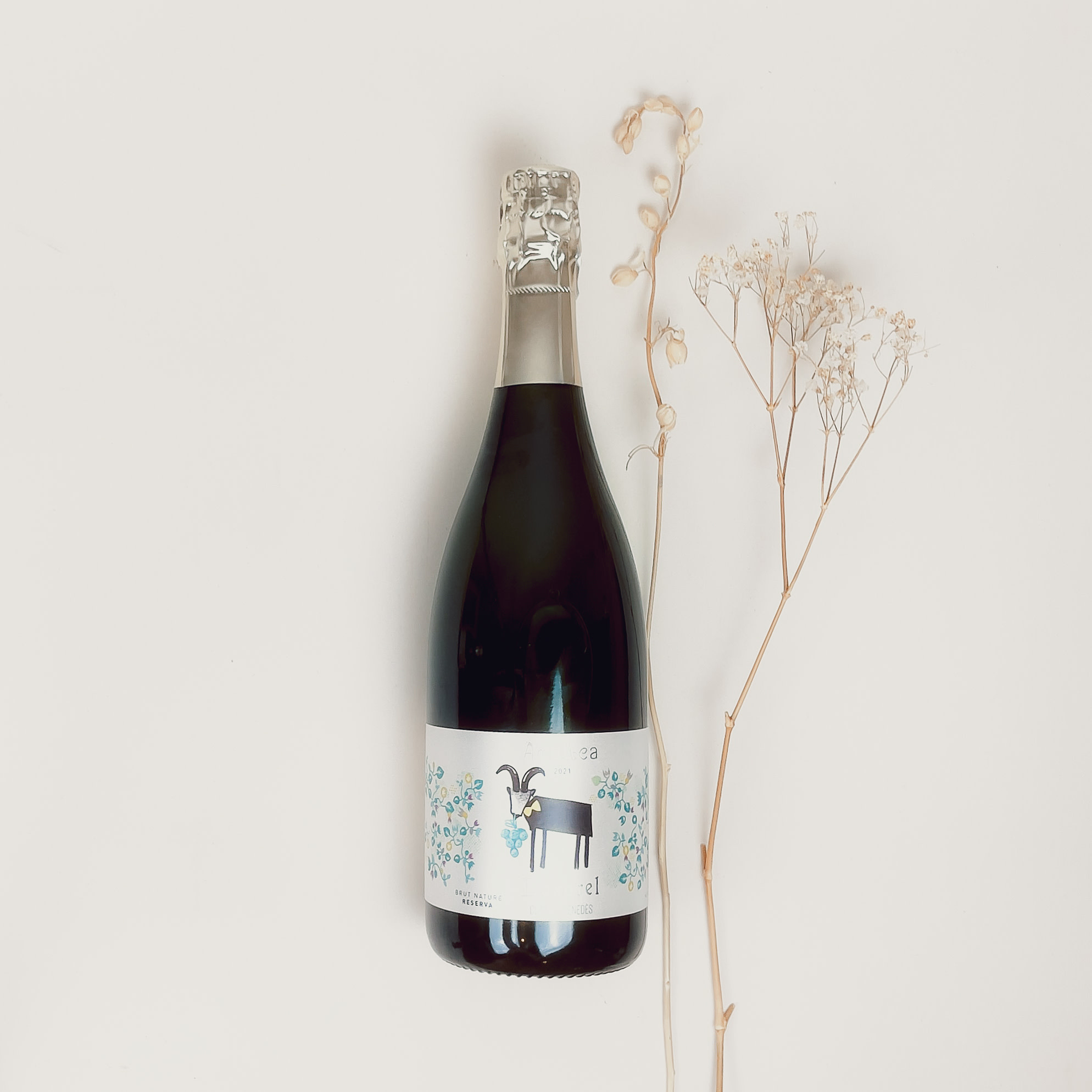 Loxarel - Amaltea Unfiltered - A Taste Affair - Natuurwijn Gent