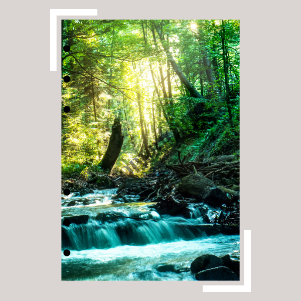 Cardboard Jungle - Momloves2organize