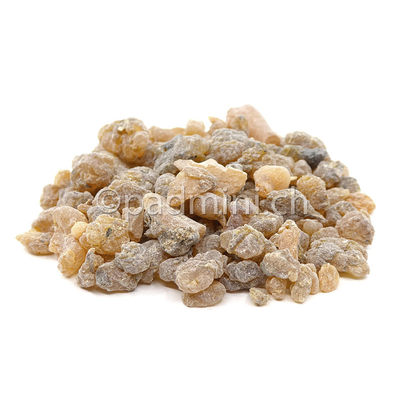 Oliban d'Inde 1er Choix - Boswellia Serrata 50g - padmini.ch