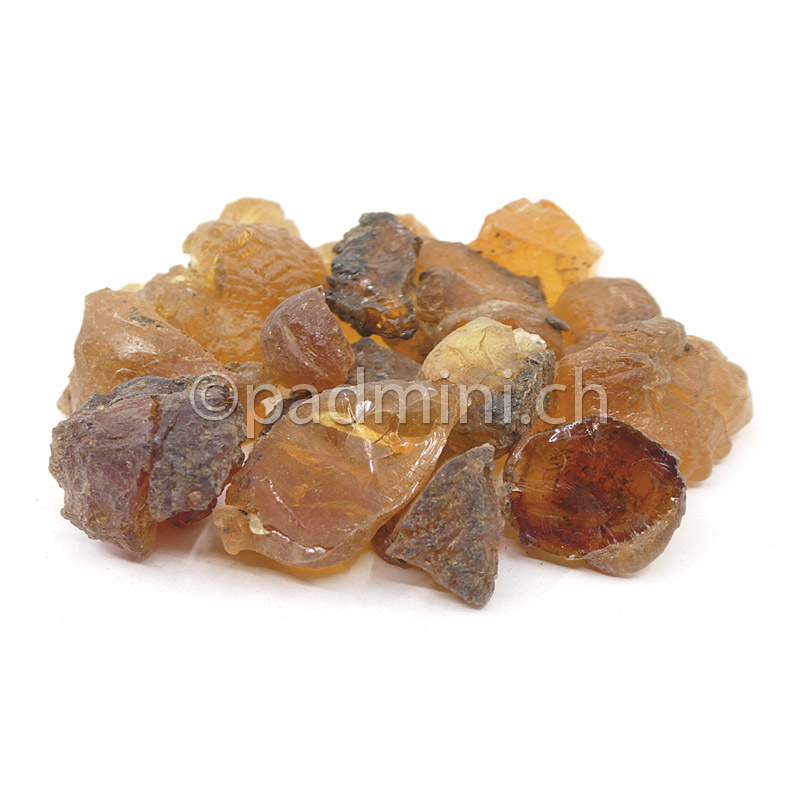 Almond Tree Gum Resin - Prunus Dulcis 40g - padmini.ch