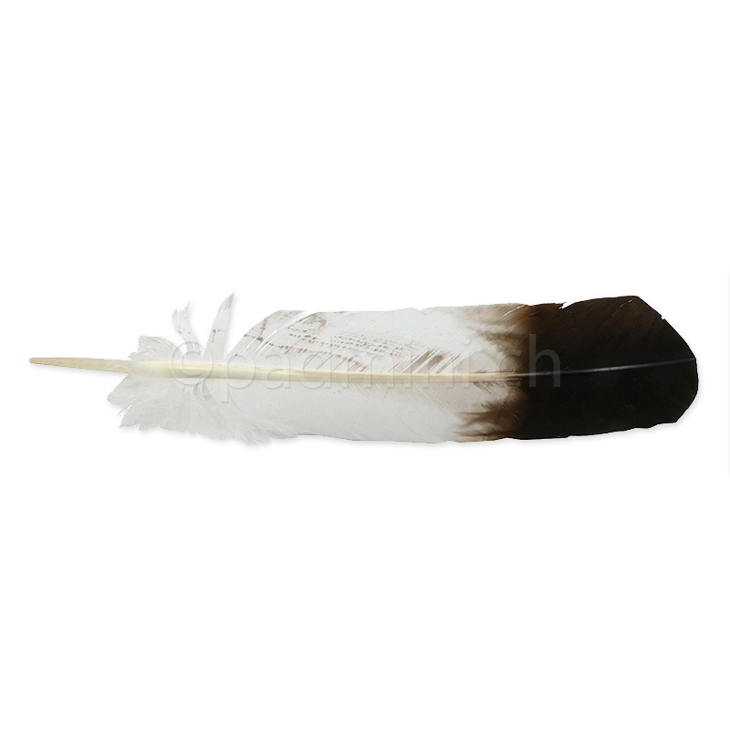 Plume pour Fumigations 30cm - padmini.ch